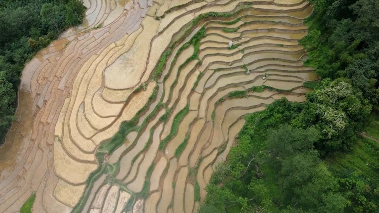 Best Nepali mountain Village Life Compilation of Dhankuta Nepal || Real ...
