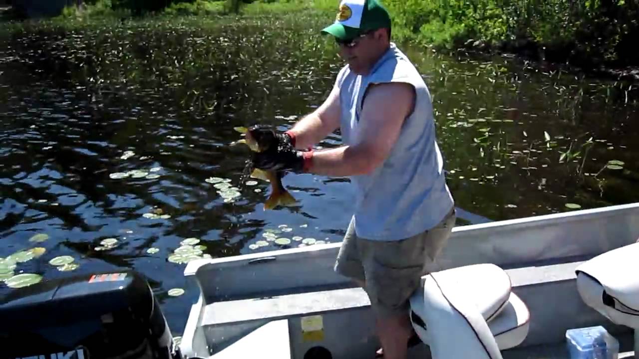 2009 Allemang Reunion - YouTube