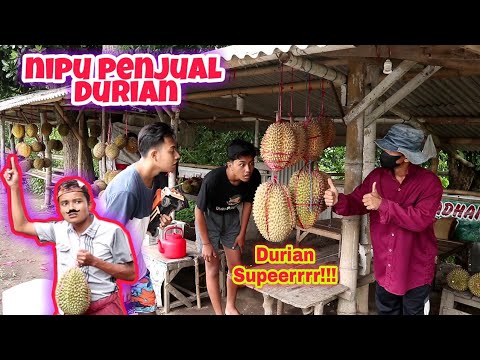 NIPU PENJUAL DURIAN || KOMEDI MADURA