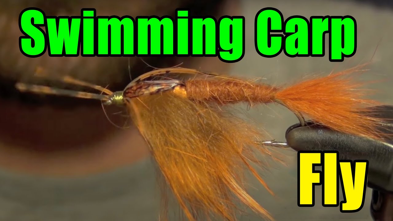 Swimming Carp Fly - YouTube
