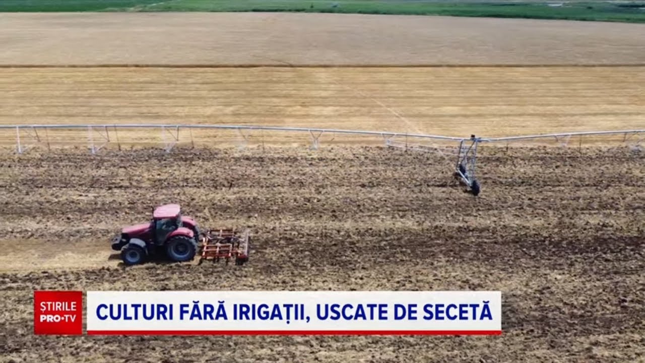 În timp ce unor agricultori li s-au copt spicele de grâu și orz mai ...