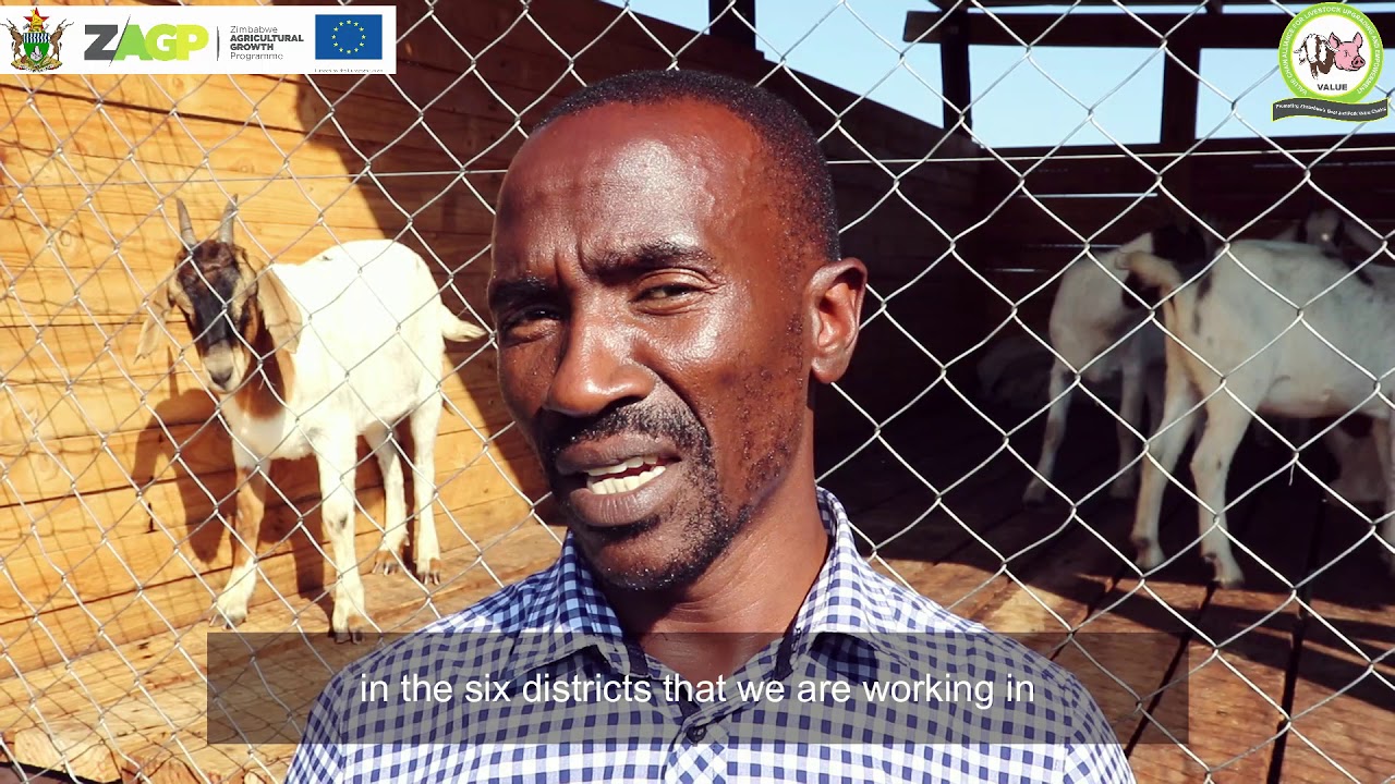 Michview - Lindani Ncube - YouTube