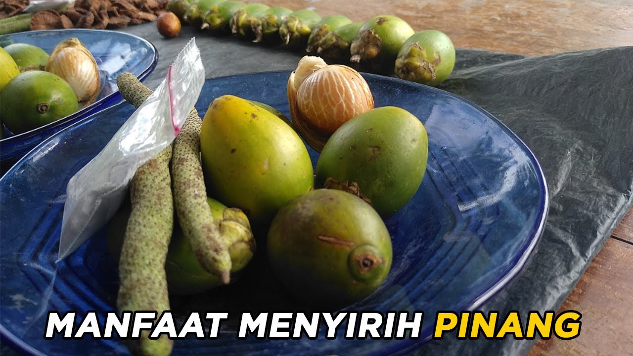 Manfaat Tak Terduga Dari Menyirih - YouTube