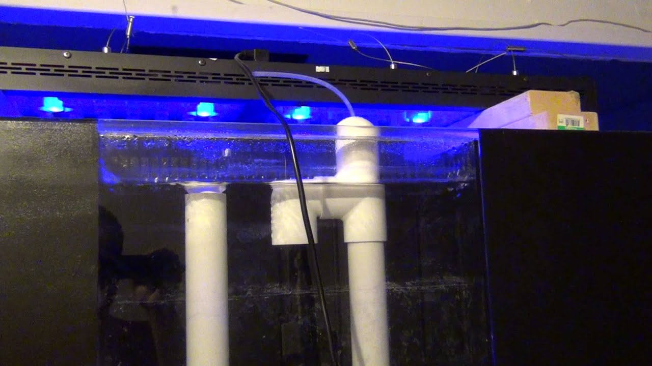 Custom Built Reef Aquarium Tank 240 Gallons -- Update 2 - YouTube