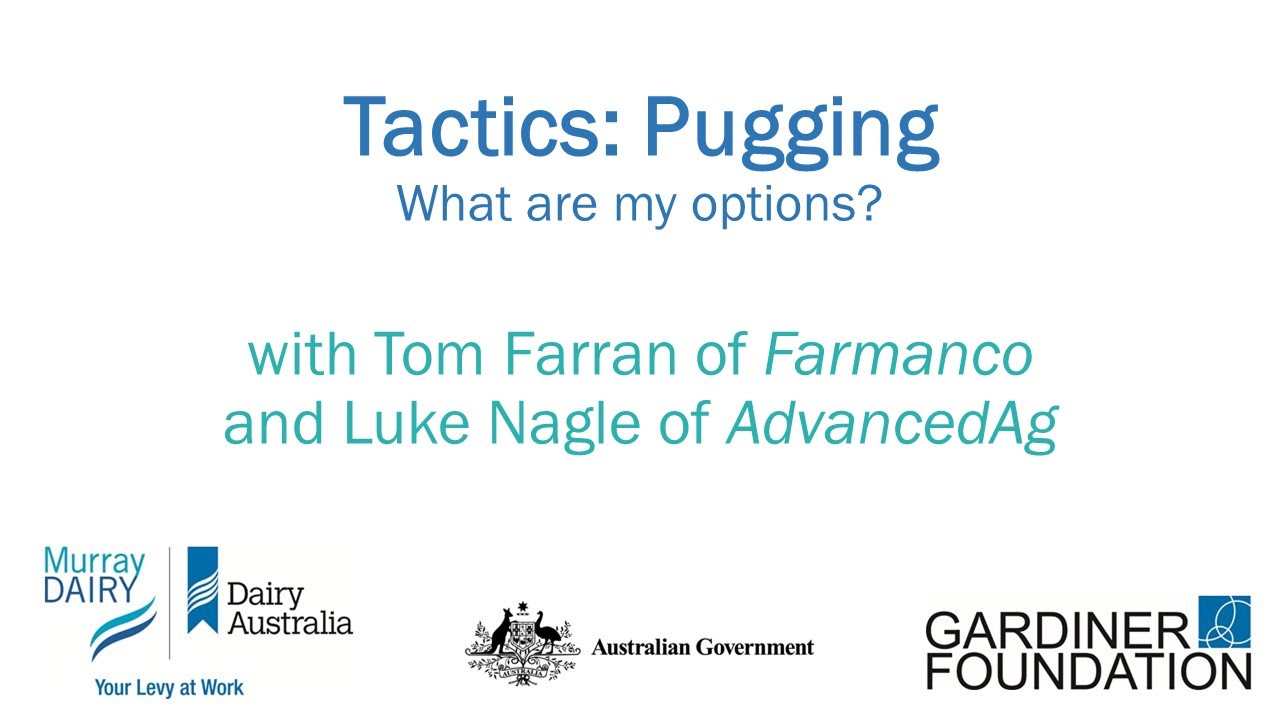 Pugging: What Are My Options? - YouTube