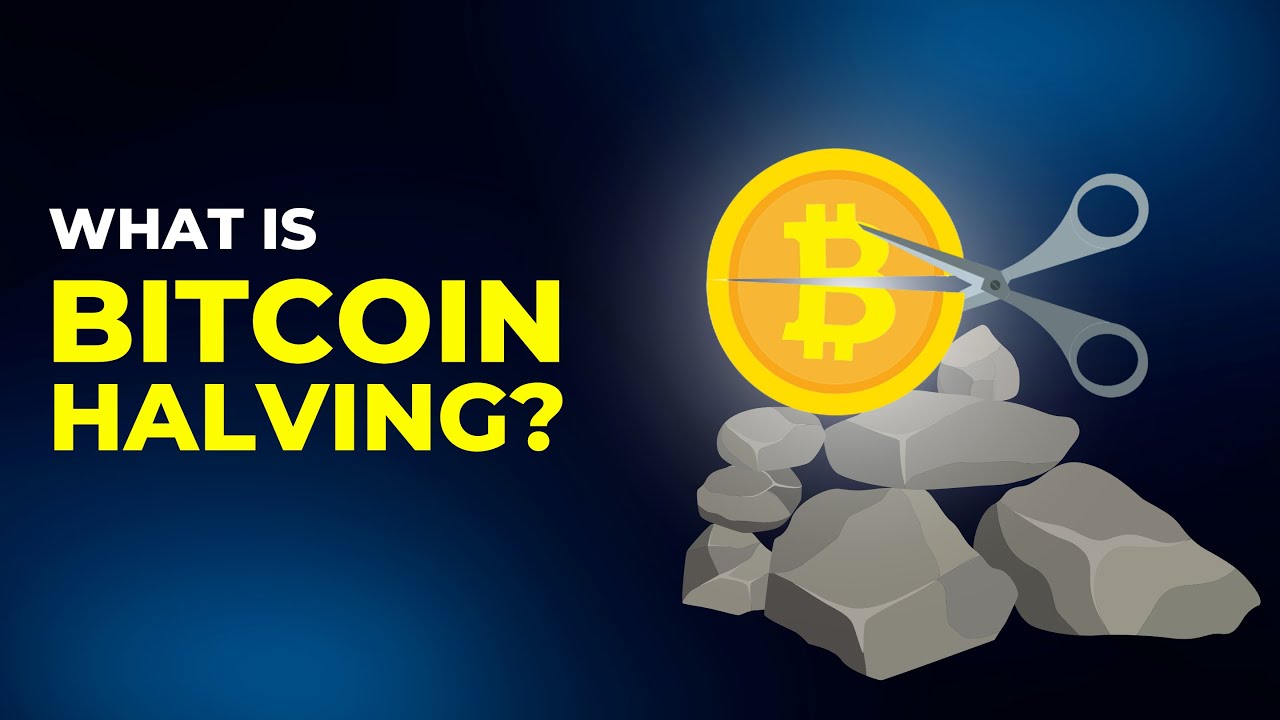 What is Bitcoin Halving (Animated) & What Happens when Bitcoin reaches ...