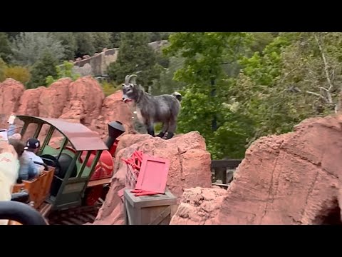 2023 Big Thunder Mountain Full POV 4K Disneyland 60 HDR Goat Screams ...