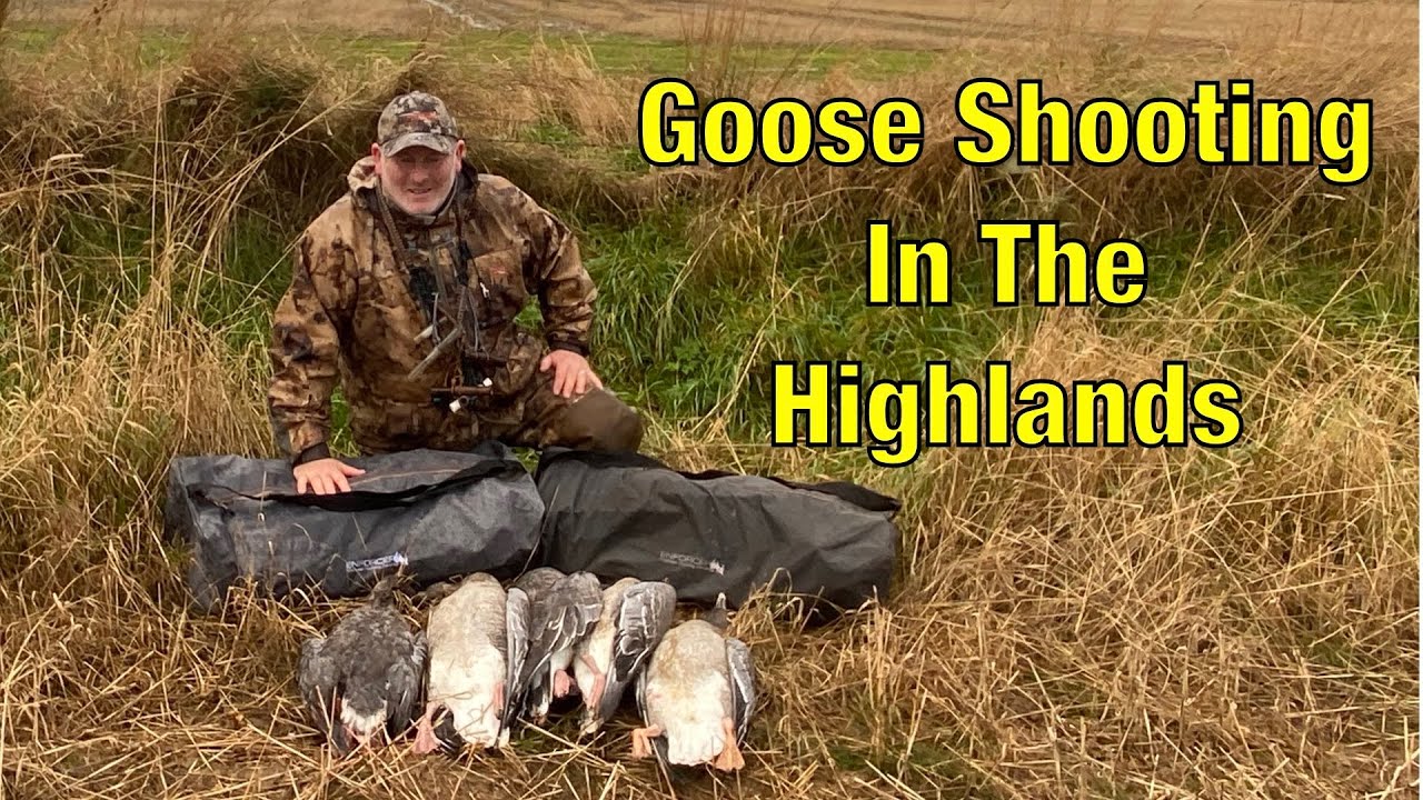 Decoying Geese - Goose Shooting In The Highlands - YouTube