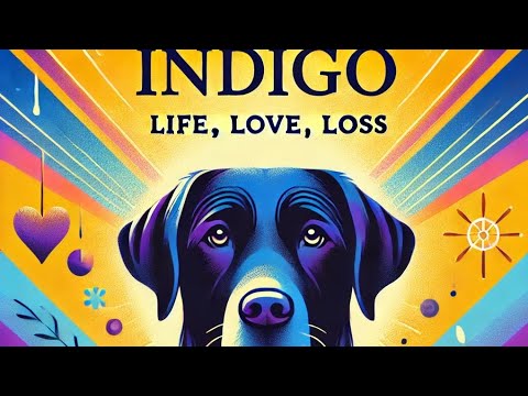Indigo, Life, Love & Loss 💐🌺🌷🐕‍🦺 - YouTube