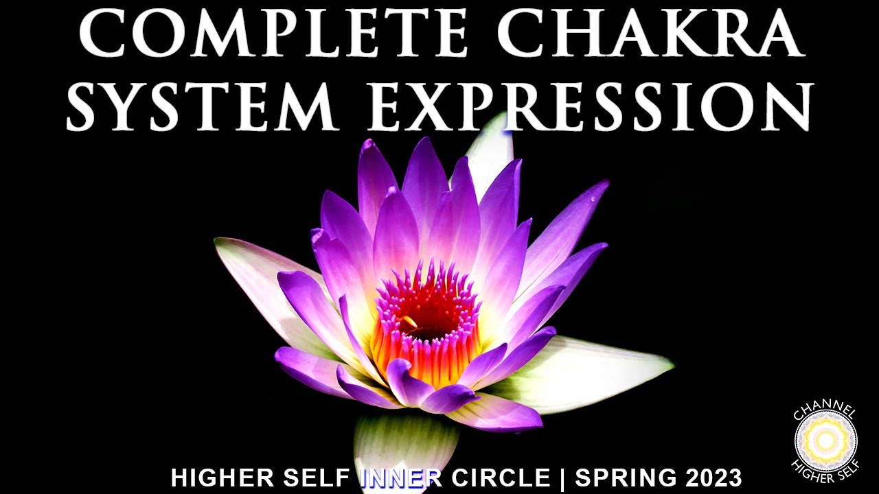 Remove Your Resistance to Success | Week 11: Complete Chakra System ...