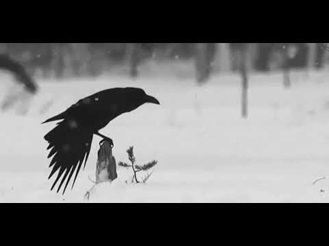 Death Cab for Cutie - Transatlanticism (slowed & reverb + 432hz)