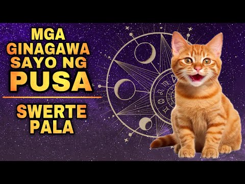 GINAGAWA SAYO NG PUSA NA SWERTE PALA | Cats do this to you Lucky Cat 2025