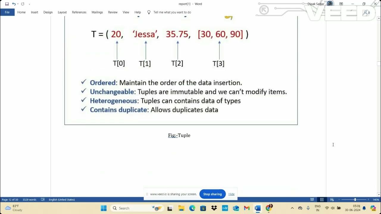 python project - YouTube