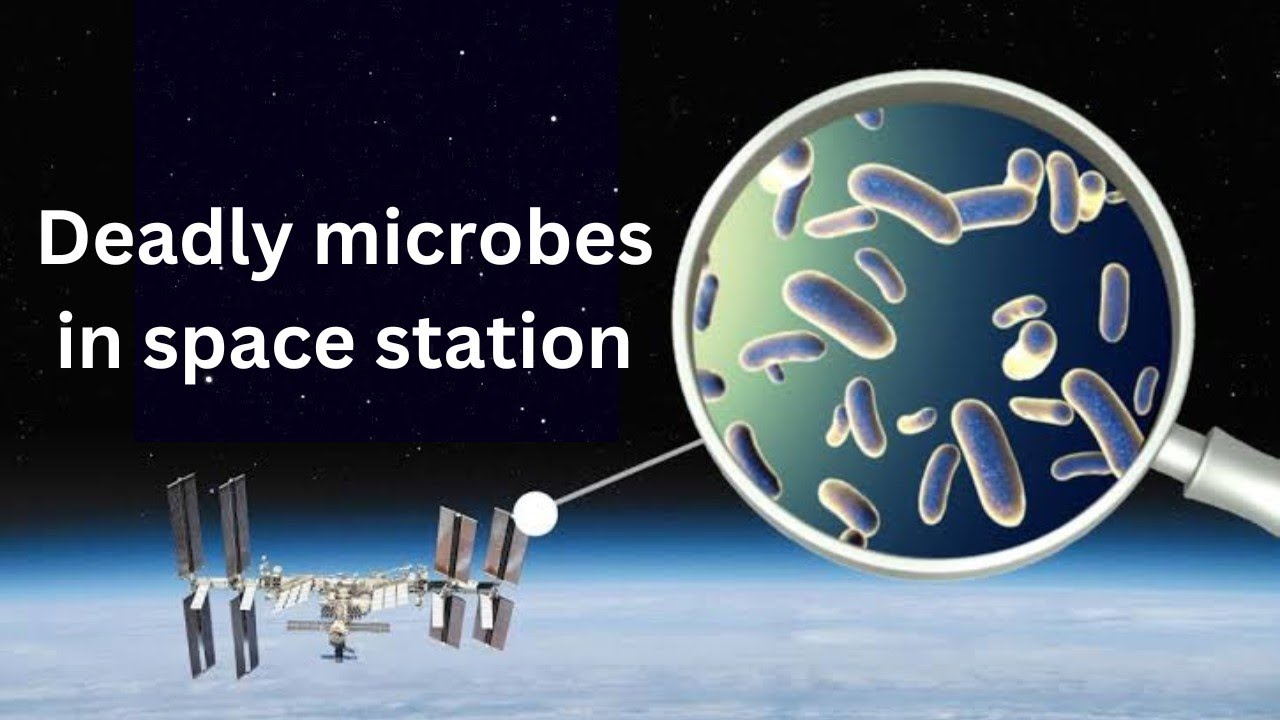 Microbes in space| International space station| Space research - YouTube