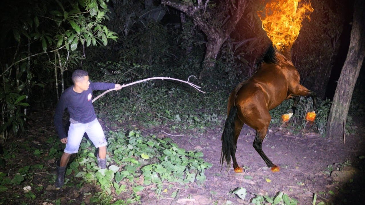 Foto Da Mula Sem Cabeça Na Vida Real - FDPLEARN