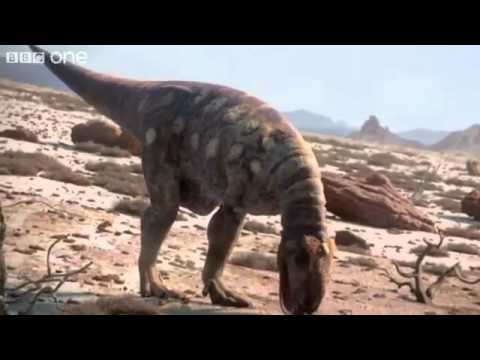 Dinosaur Cannibalism - Planet Dinosaur - Episode 3. - YouTube