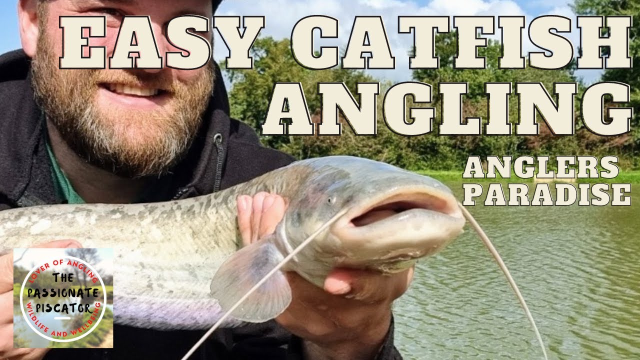 Anglers Paradise - Easy Cat Lake Catfish Catching - YouTube