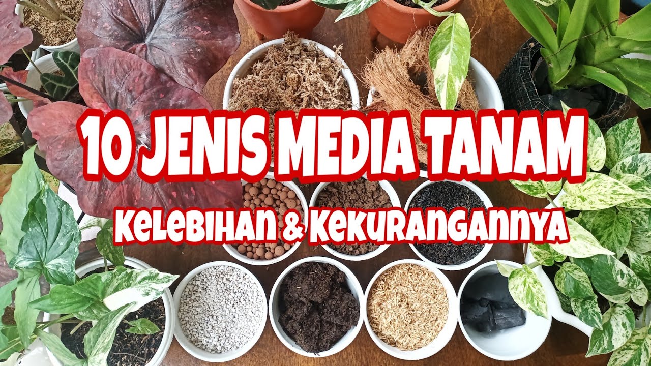 10 JENIS MEDIA TANAM - YouTube