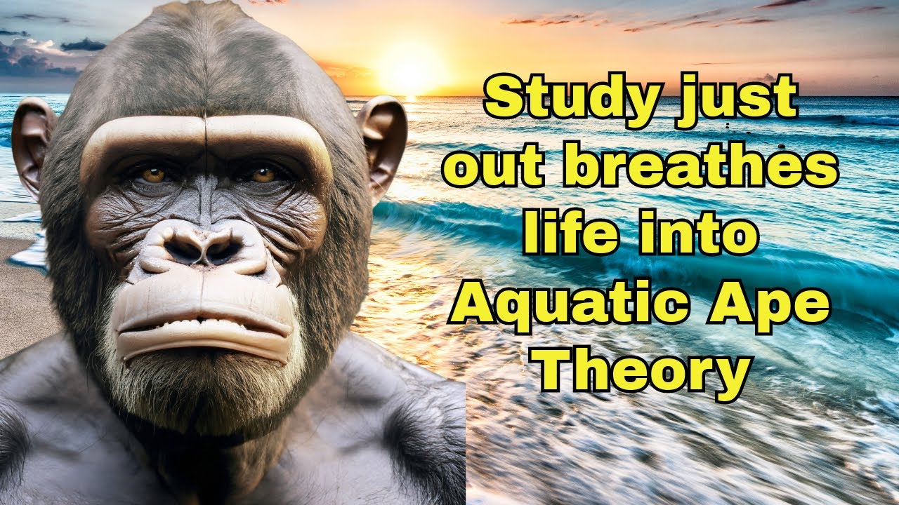 Aquatic Ape Theory: New study from Spain finds modern Euros uniquely ...