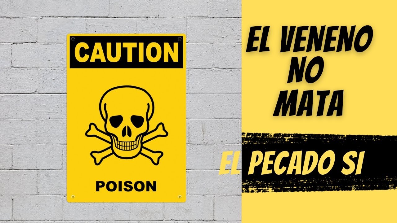 El veneno No mata ¦ el ser humano se puede dañar asi mismo #veneno # ...