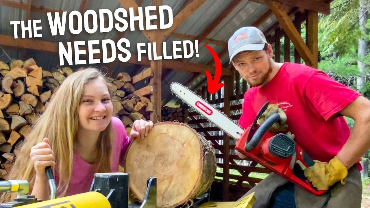 Getting FIREWOOD Ready for WINTER | Bucking, Splitting, & Stacking - YouTube