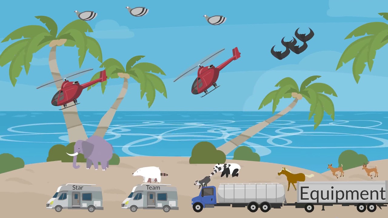 Chomp Animation HD - YouTube