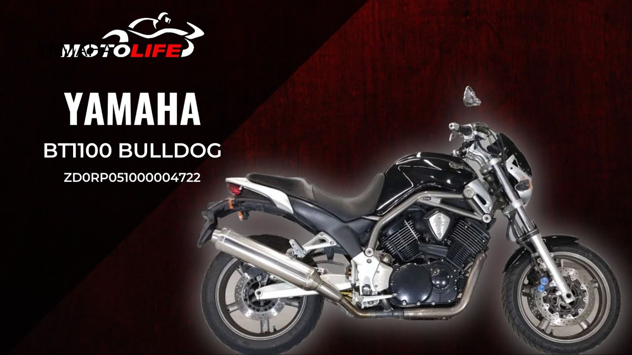 YAMAHA BT1100 BULLDOG - ZD0RP051000004722 - YouTube