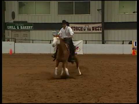 Babe and Matt at Wimpys Derby Score 221.5 - YouTube