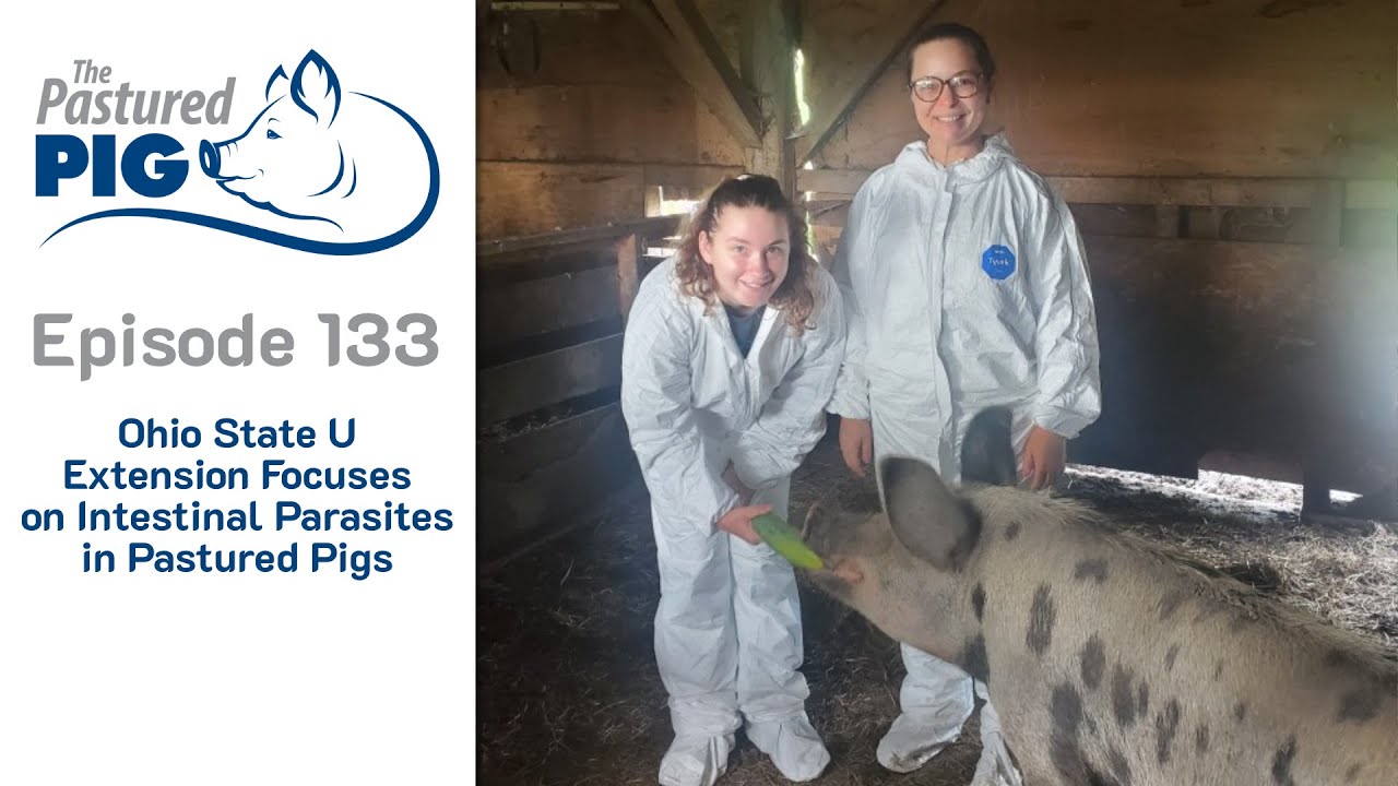 Ohio State U Extension Focuses on Intestinal Parasites in Pastured Pigs ...