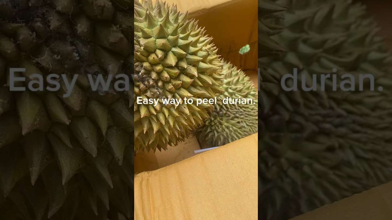 Easy way to peel durian #ปอกทุเรียน #ทุเรียนไทย #durian #diy #อร่อย ...
