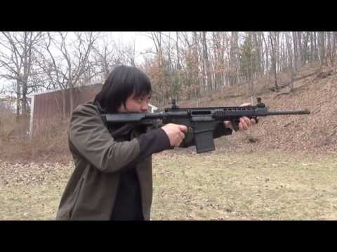 Sig Sauer 716 - 7.62x51 Love
