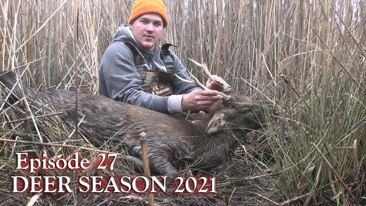 Can You Hunt Deer With Shotgun Slugs at Clayton Cooper blog