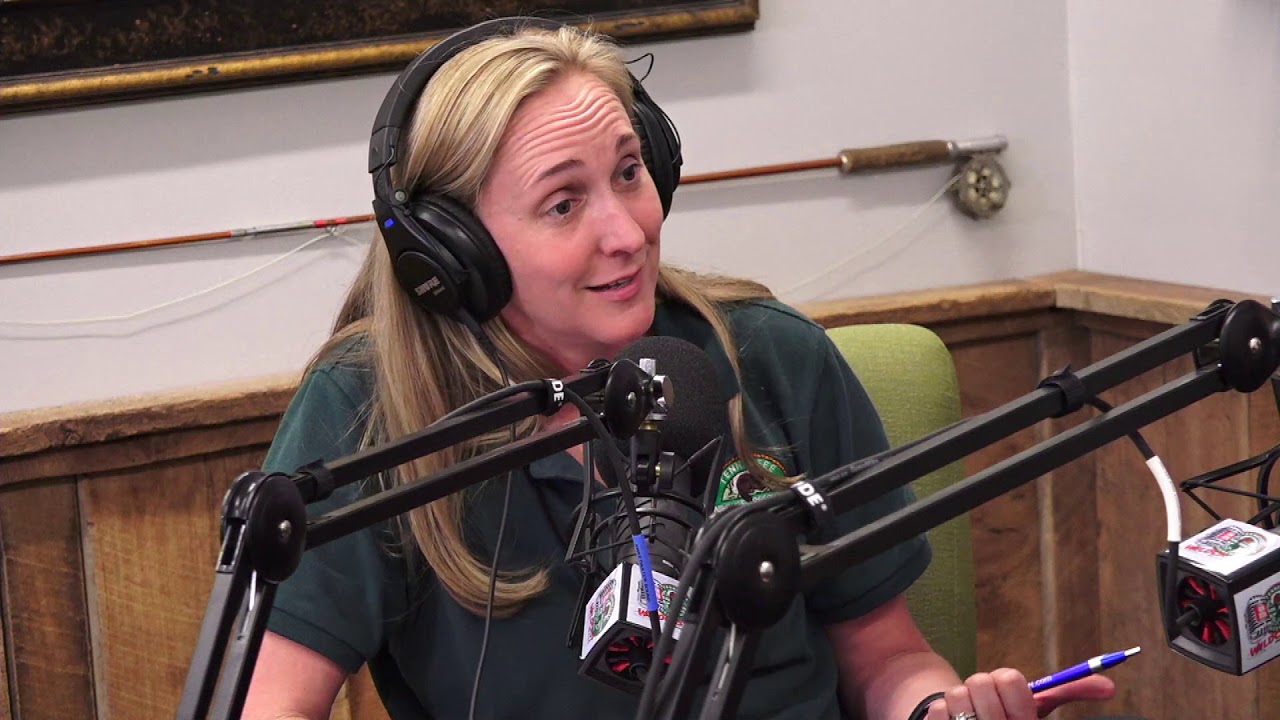 TN WildCast 84 - Gators in West Tennessee? - YouTube