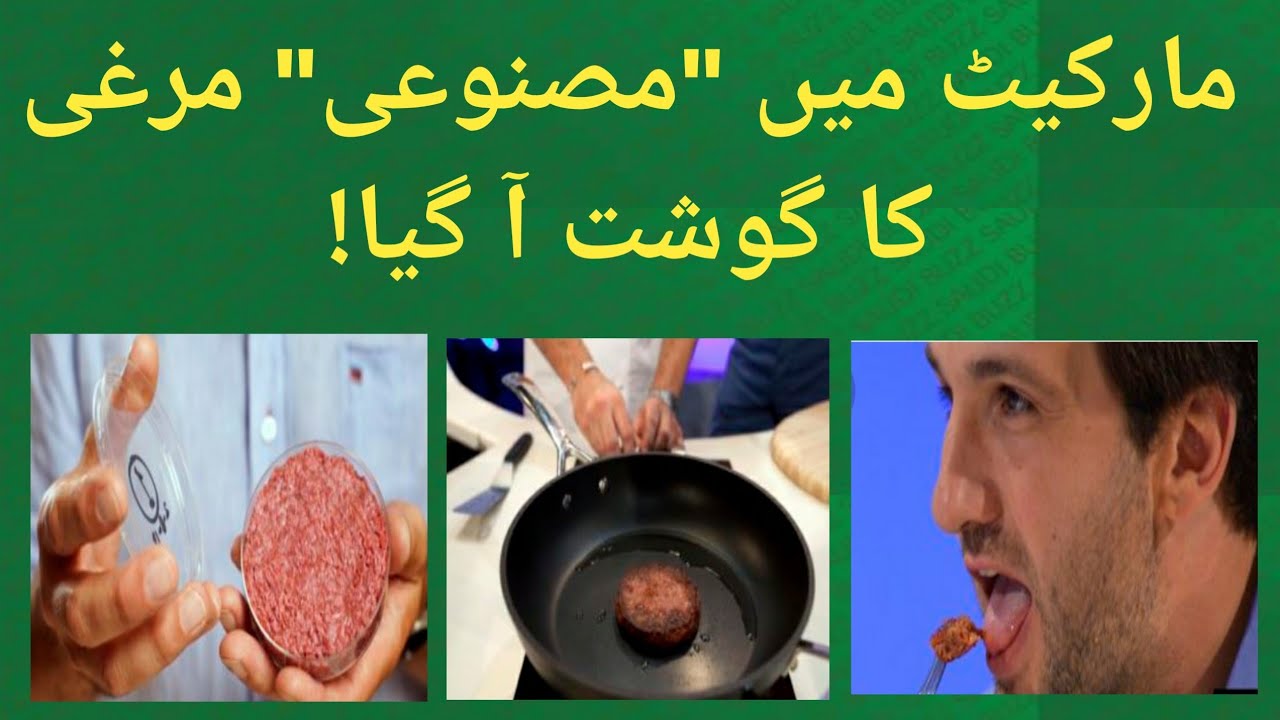 Artificial chicken meat | Lab prepared chicken meat by Singapore - YouTube