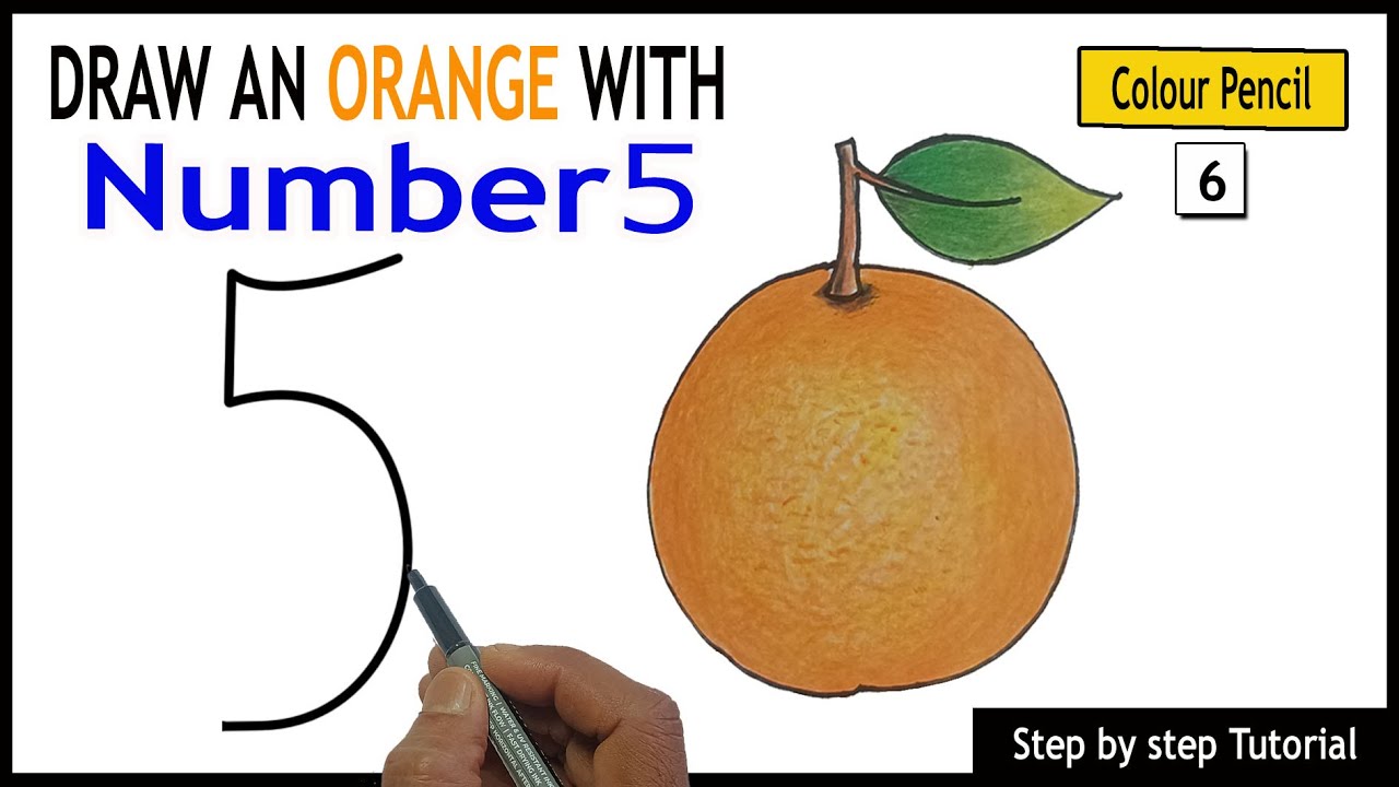How to draw an Orange very easy Step by Step| Easy drawing an Orange ...