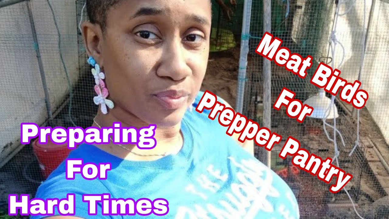 MEAT BIRDS GETTING THEM IN PLACE | PREPPER LIFE - YouTube