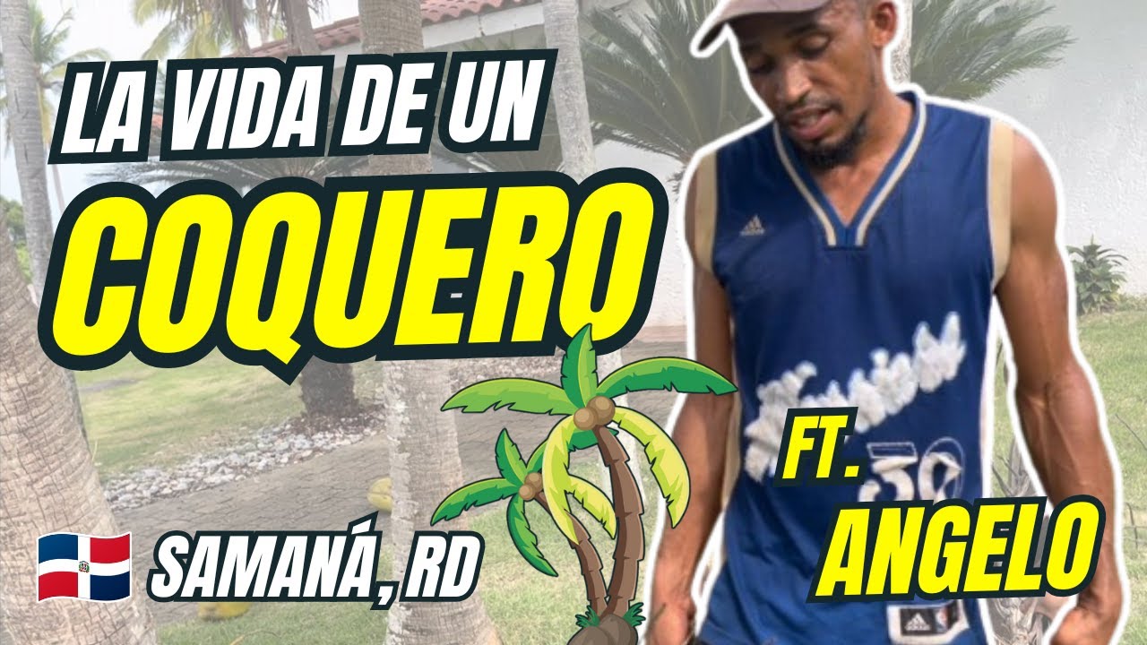 La vida de un Coquero en RD 🌴🥥 | *se sube a la palma solo con sus manos ...