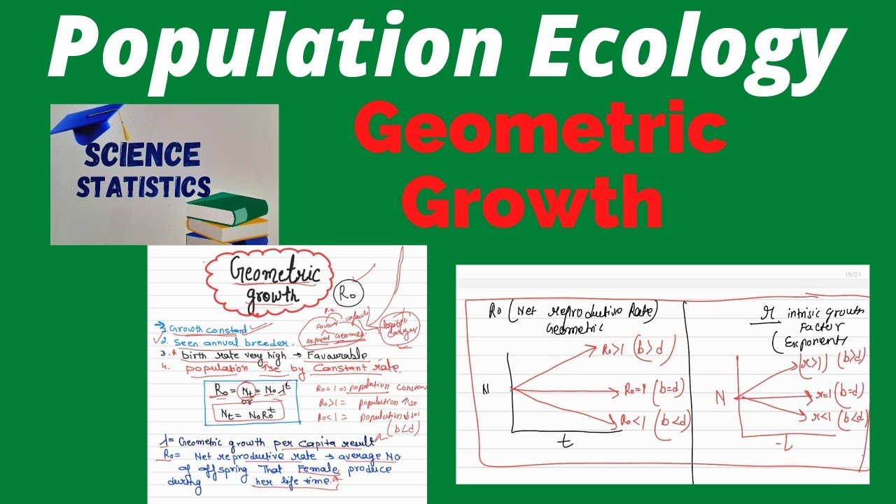 Geometric Growth||Population Ecology #lifescience#csirnet#Ecology - YouTube