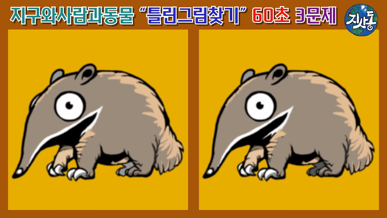 [🌛The Hidden Catch🌜] 틀린그림찾기 Ep72 #지사동 #동물 60초 동안 5곳 찾기 #두뇌운동 #집중력훈련 #동물 ...