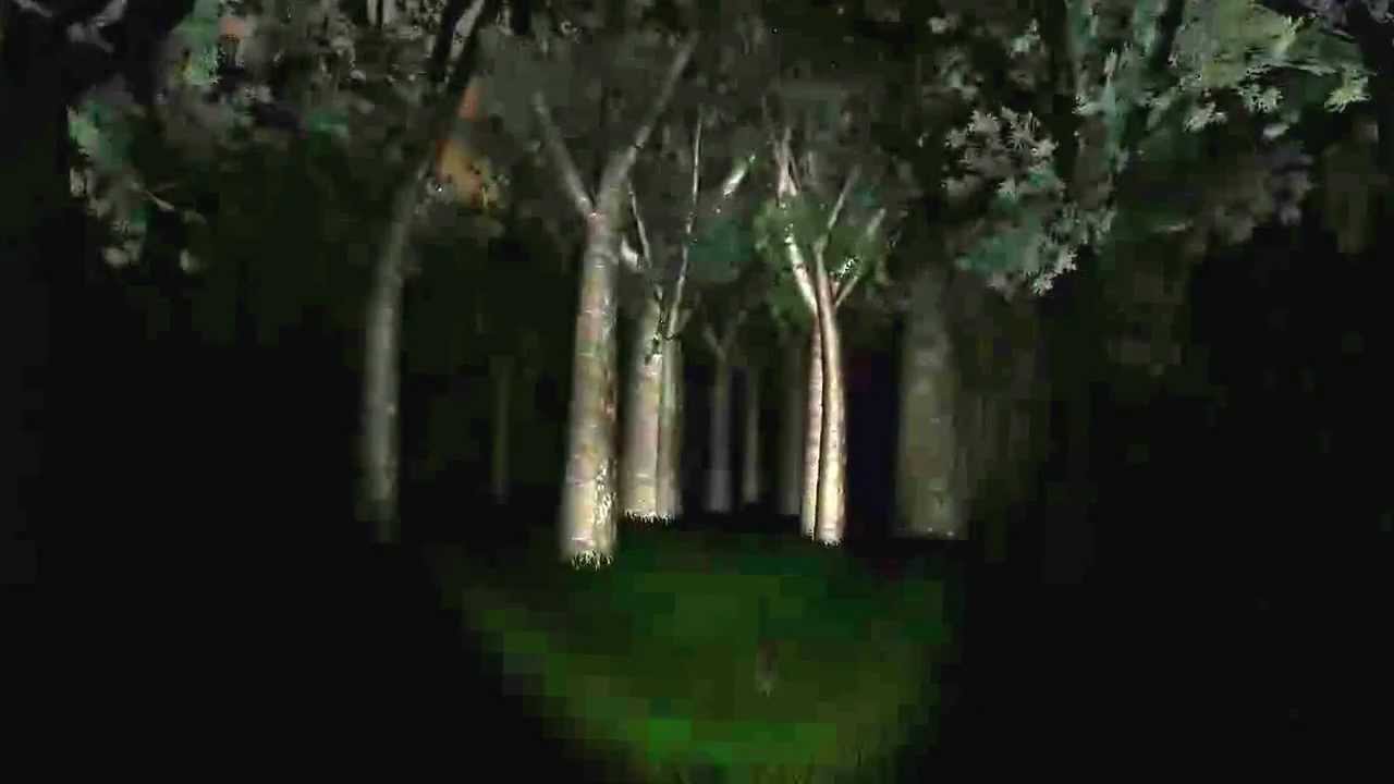 slender forest game attempt 1 - YouTube