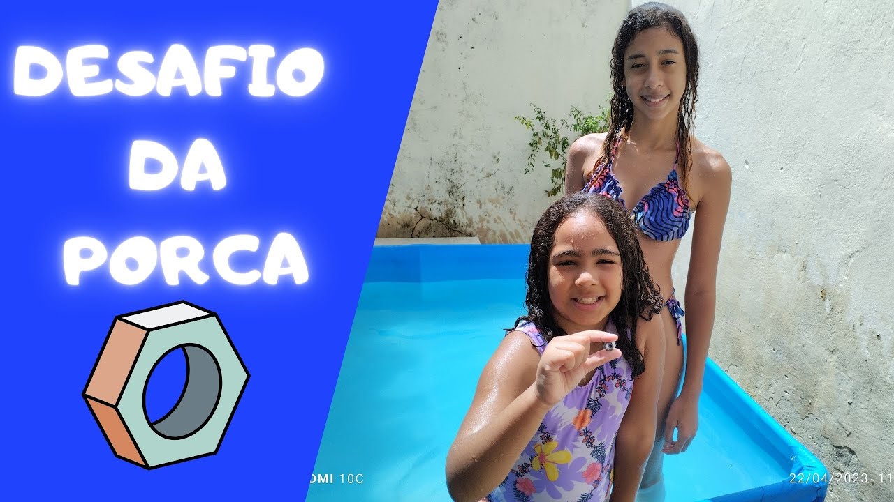 Desafio da porca na piscina | Pool Pig Challenge - YouTube