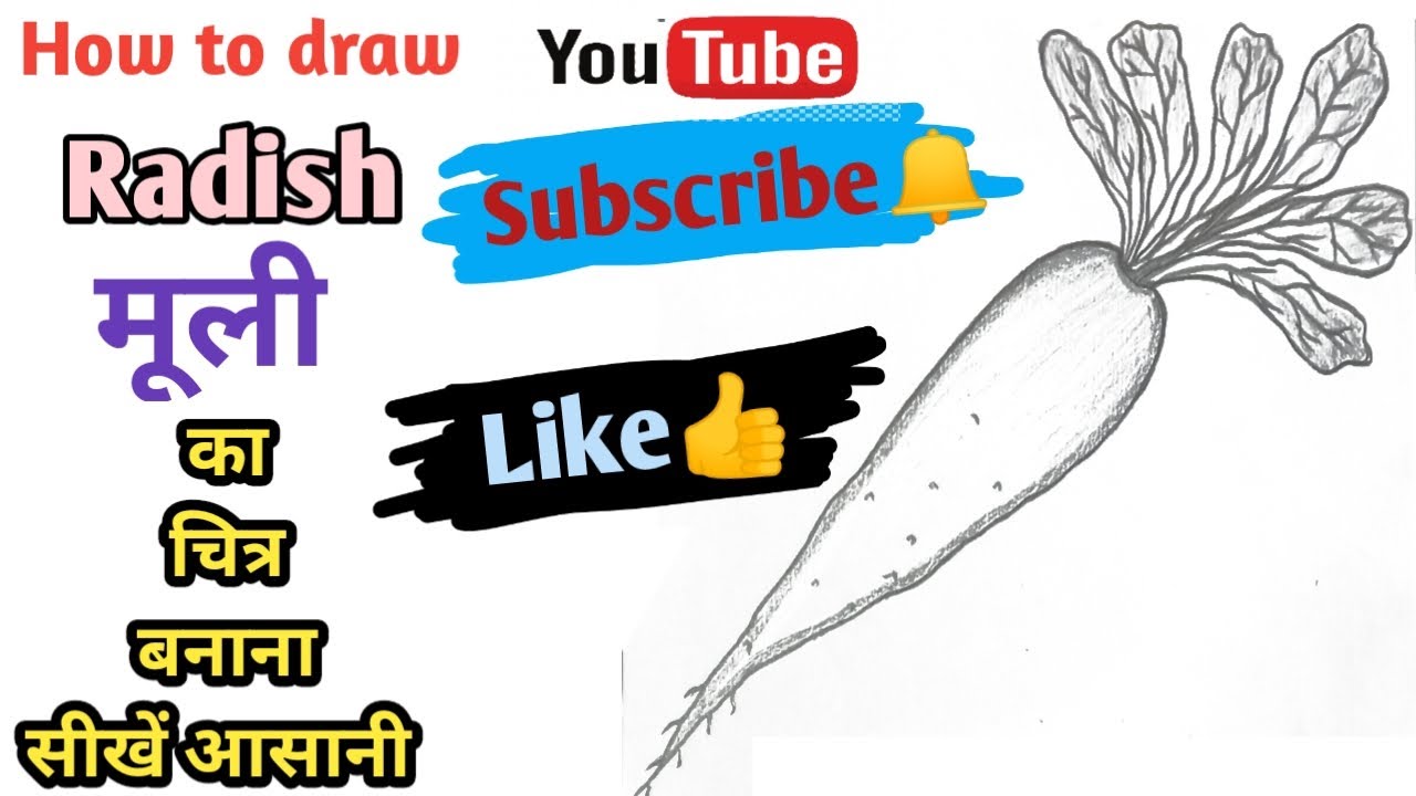 How to draw radish drawing || पत्तियों सहित मूली का चित्र || radish ...