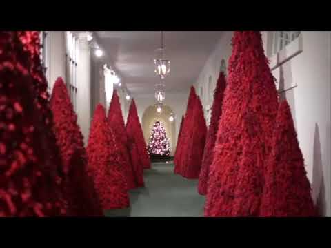 White House Red Trees - YouTube