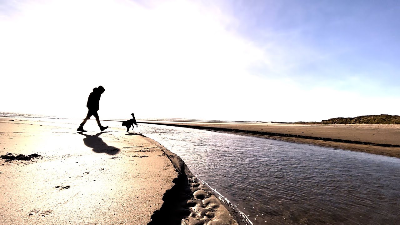 Sandstorm at Druridge Bay with my Dog - YouTube