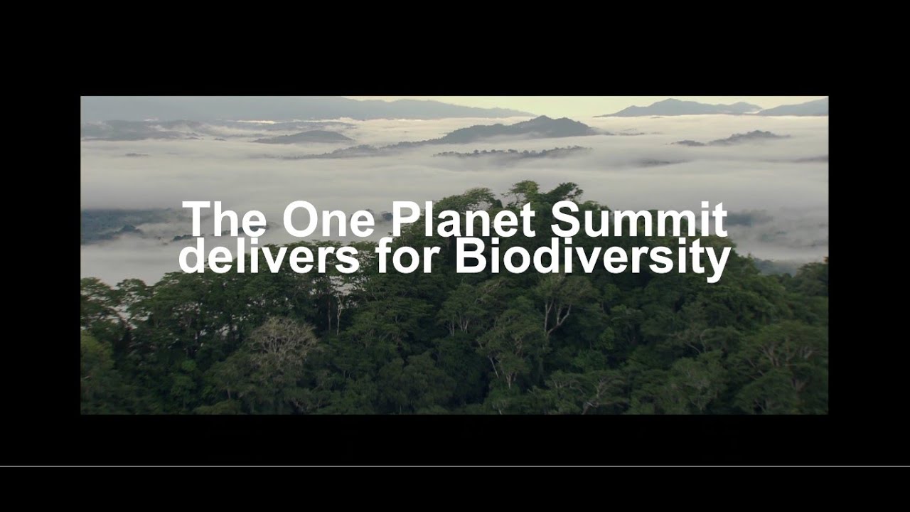 The One Planet Summit Delivers for the Planet - YouTube