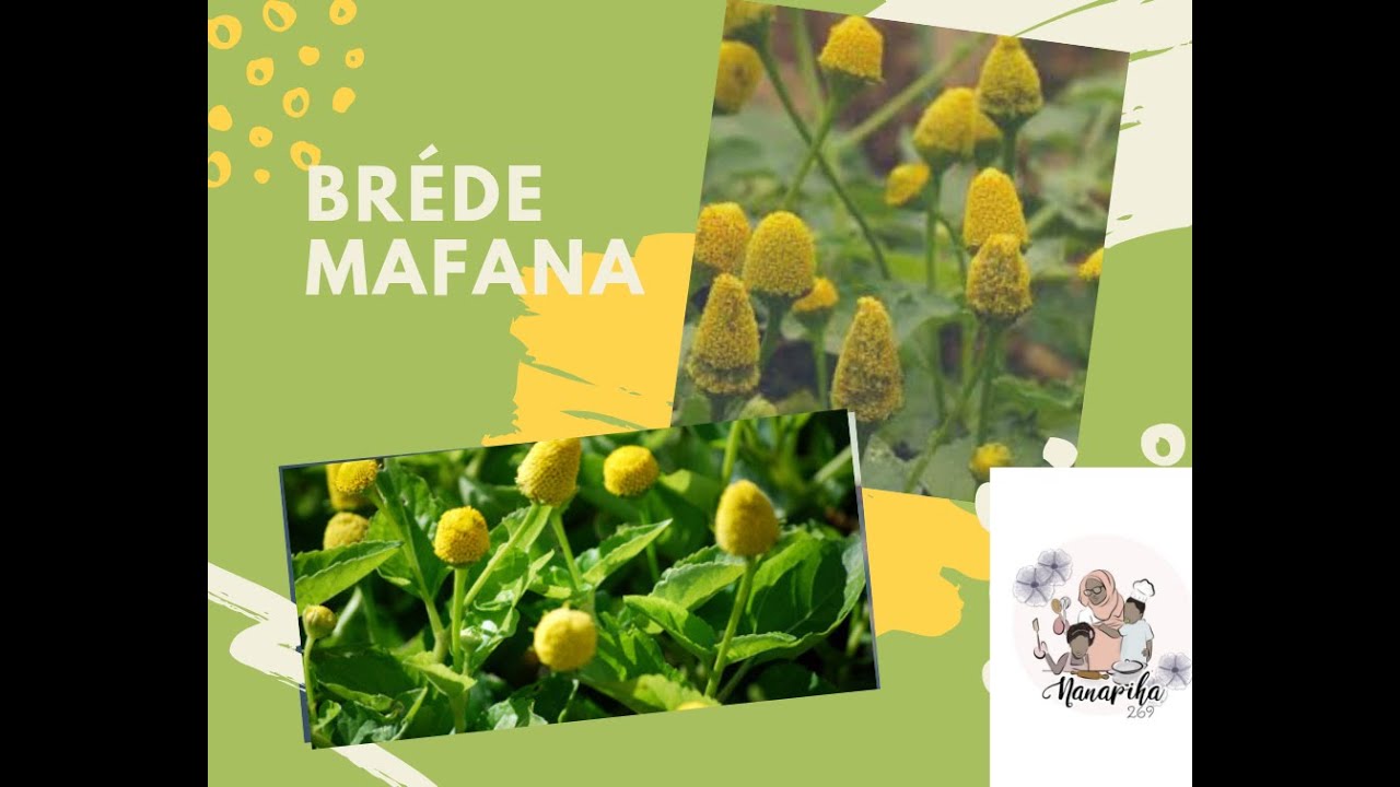Recette du bred mafan ( kéléki mafana) spécialité comorienne,malgache ...
