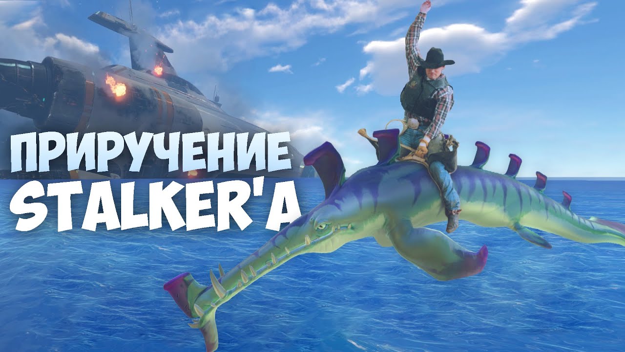 ПРИРУЧЕНИЕ STALKER'А - Subnautica #23 [H2.O Update] - YouTube