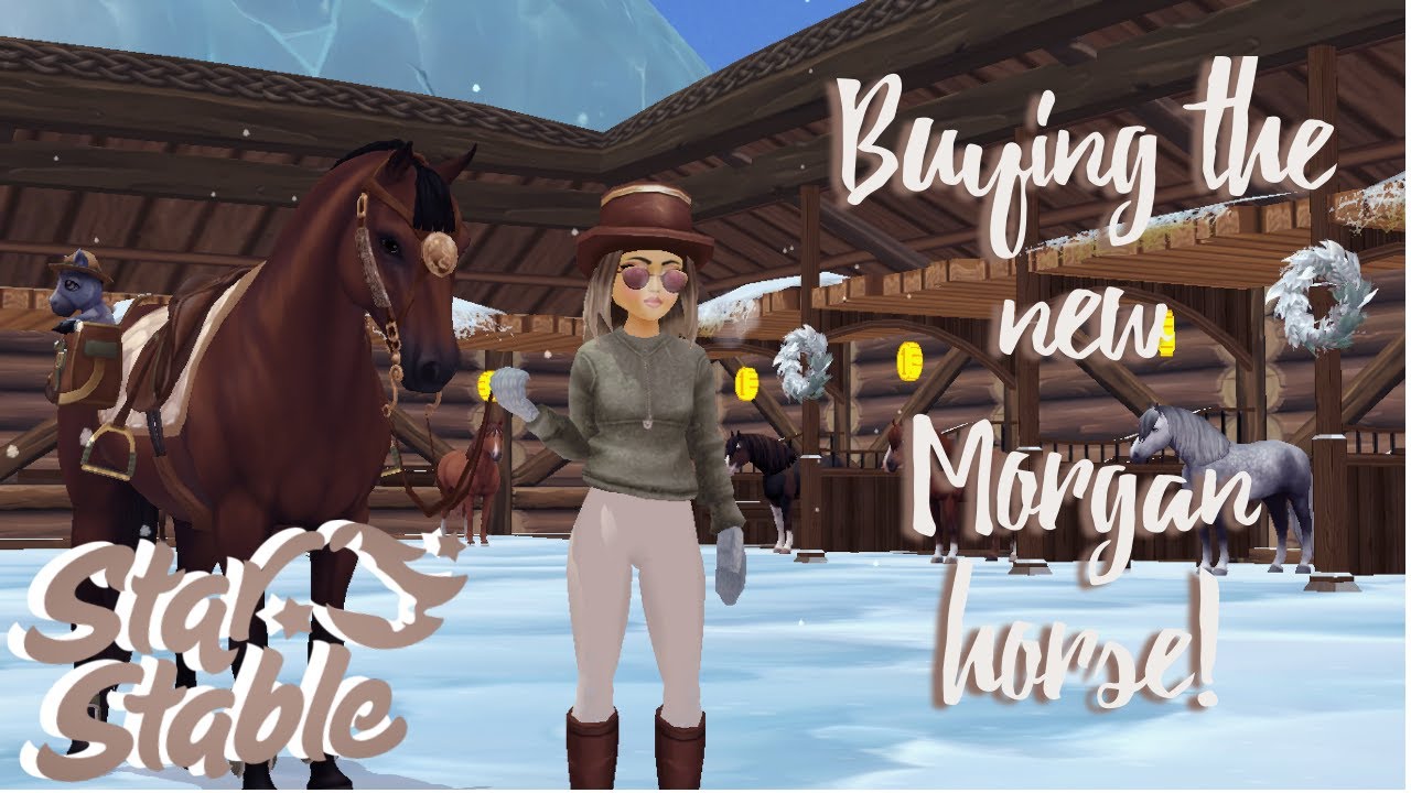 Buying a New Morgan Horse! | STAR STABLE ONLINE || Ida Starsong - YouTube
