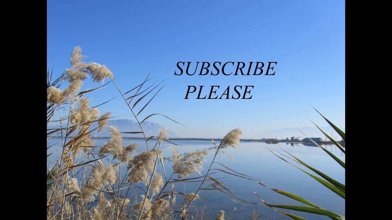 Subscribe please (Für Elise Ludwig van Beethoven) - YouTube