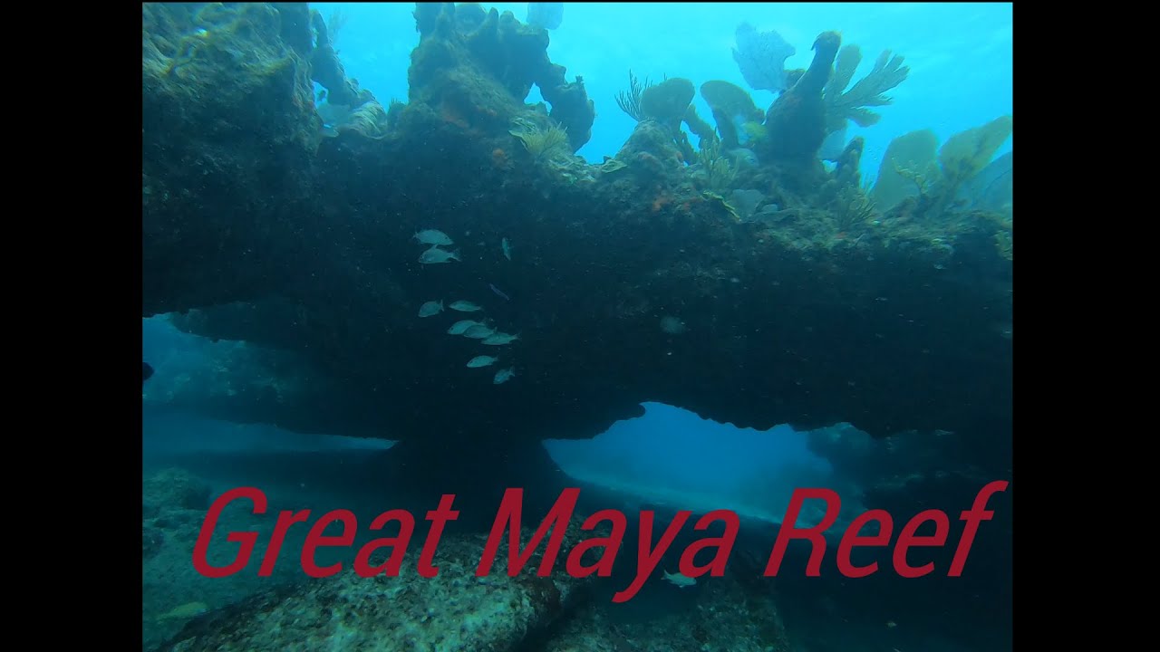 The Great Maya Reef - YouTube